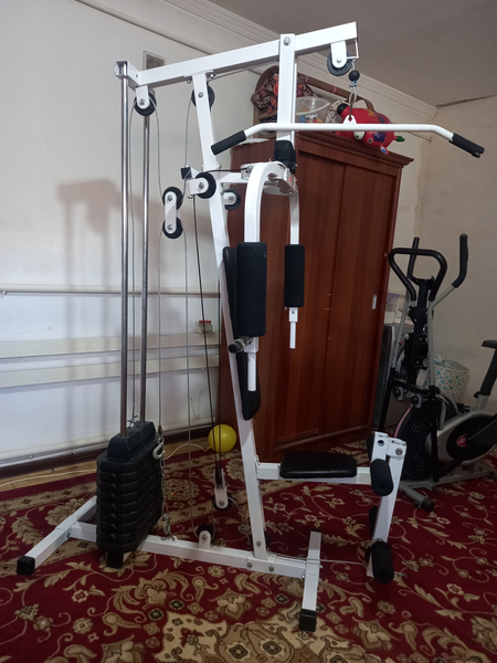 Dene shiniqtrwshi sport tabar
