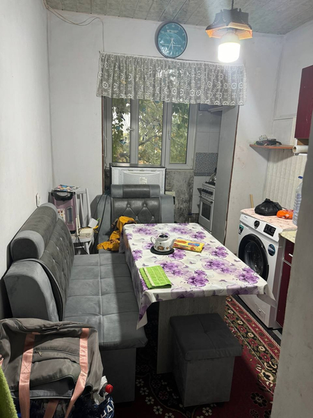 Продаётся 2/4/4 саракулька (транспортный)