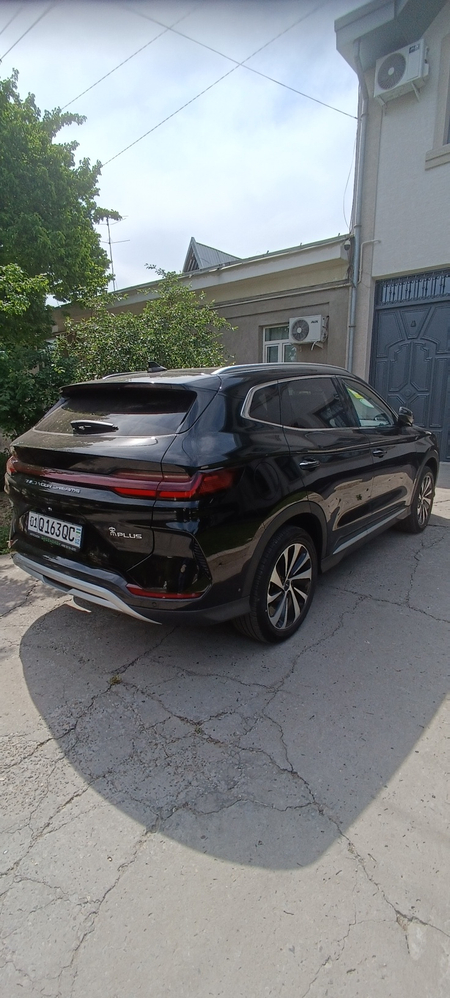 Byd Chepion 605 km без пробег