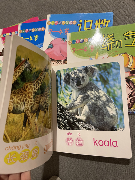 Книжки по китайскому языку для детей с песенками