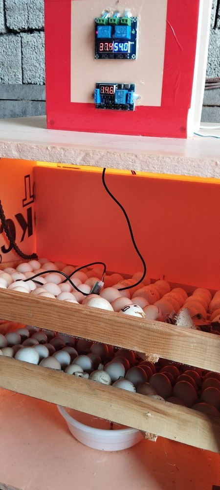 Inkubator sotiladi 170 talik