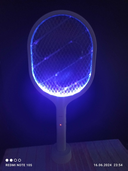 Elektr hashorot oldirgich