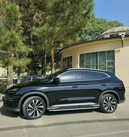 BYD CHEMPION 605 KM. 2023.