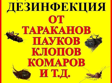 Услуга дезинсекции и дезинфекции.