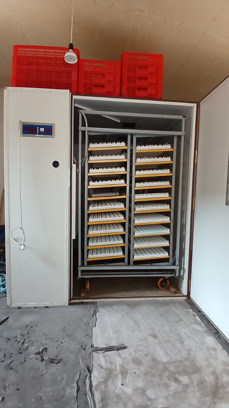 Inkubator 5000 talik