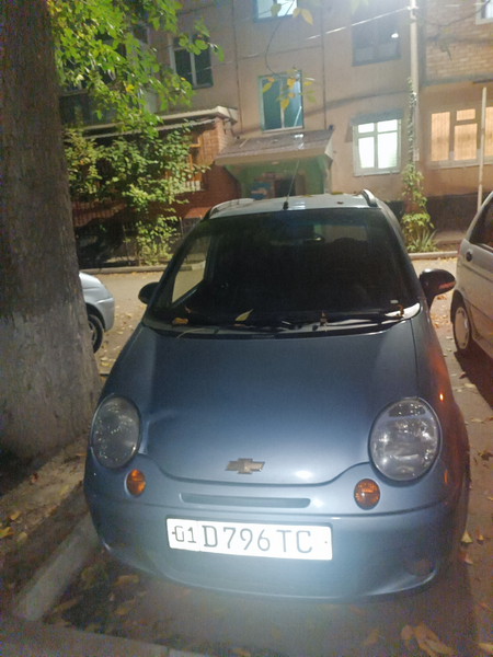 Matiz oddiy 2015