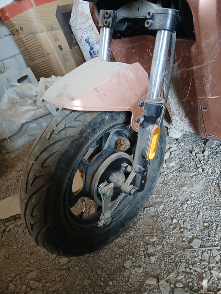 Elitro skuter holati yangi