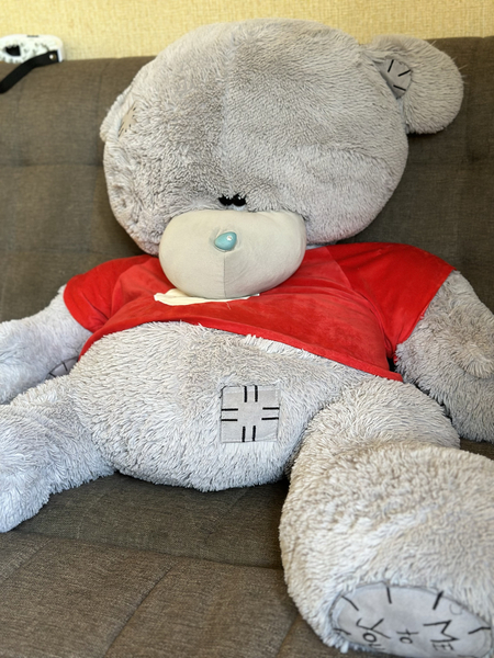 Teddy мишка ayiq