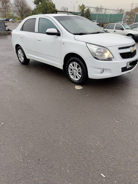 Кобилт автомат 2020