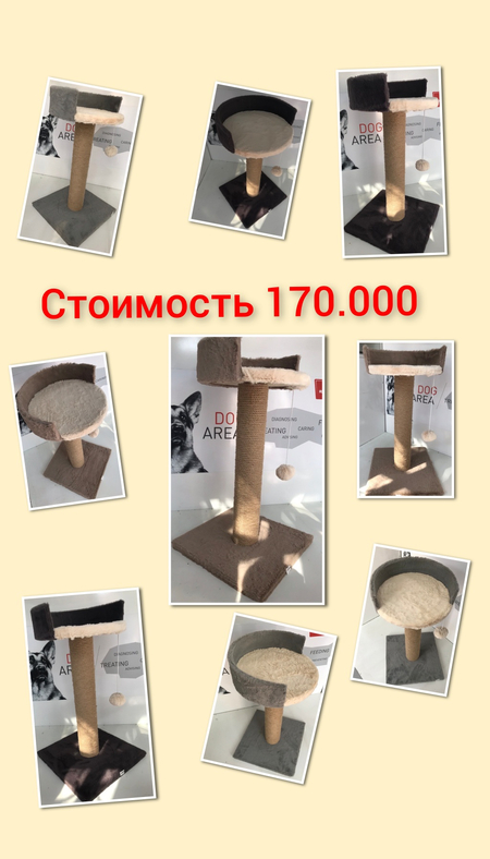 Когтеточка с лежанкой для любимого питомца