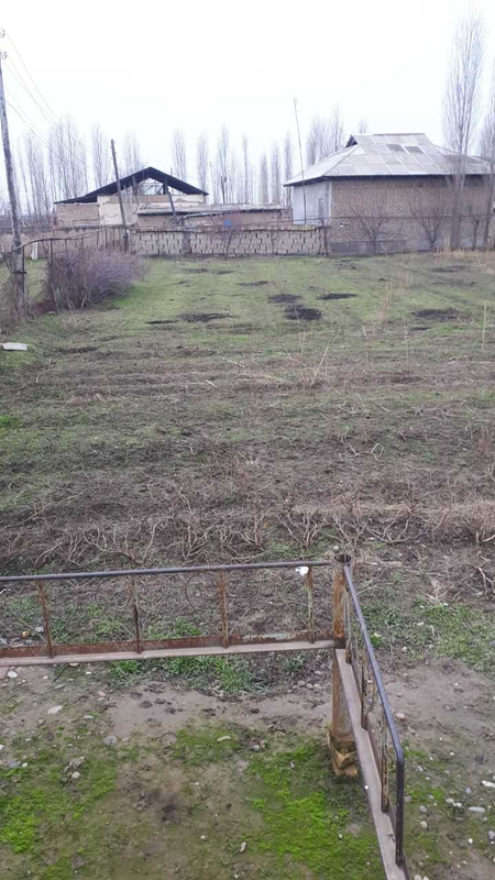 Layle maxalla jdanov 5 sotix