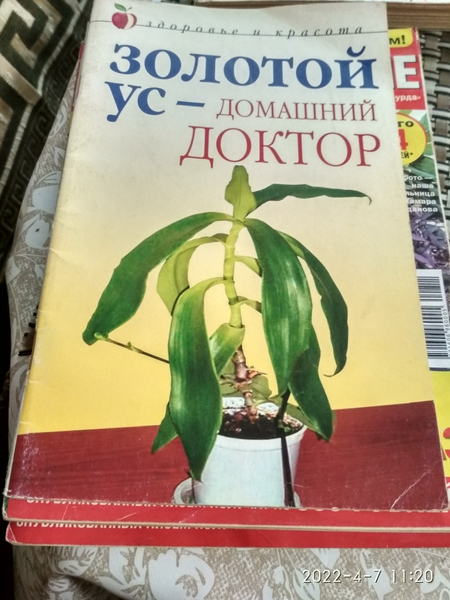 Комнатные цветочные растения и брошюры 