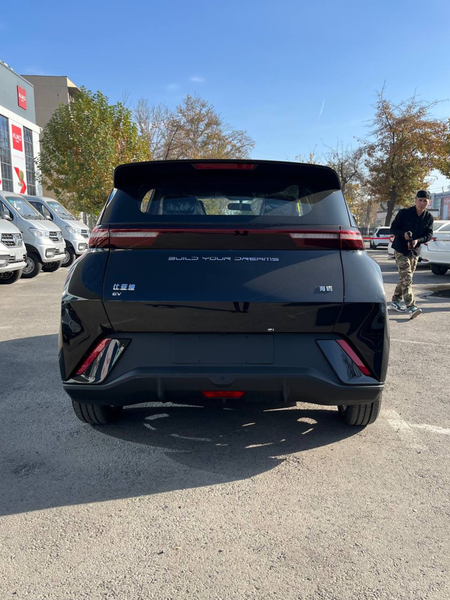 Byd Seagull 2024 Full