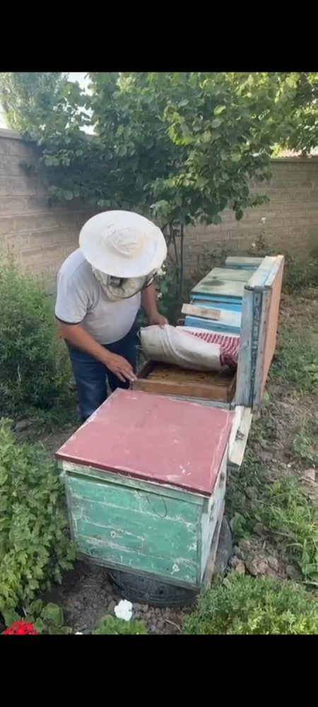 Продается горный, майский мёд
