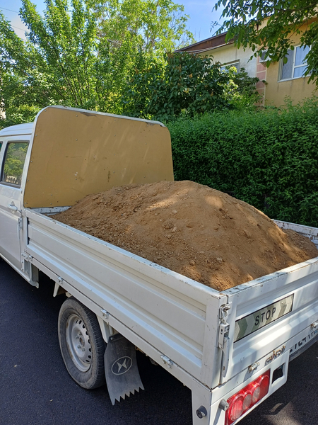 Turpoq gun toza turpoq xizmati
