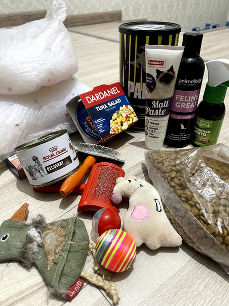 Принадлежности и лакомства для кошки