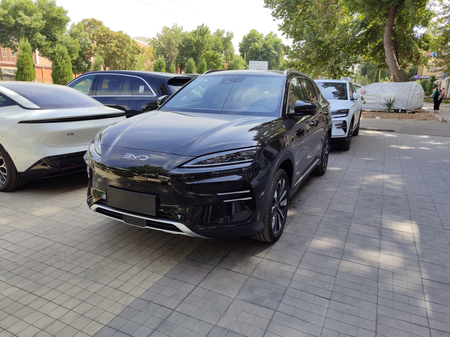 Byd song L 2024.