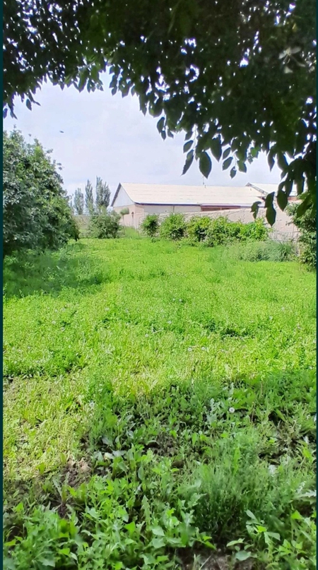Yer sotiladi yaxshi narhda