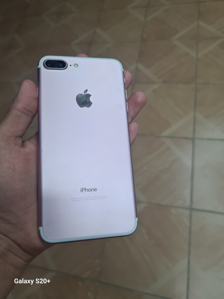 iPhone 7+  rose