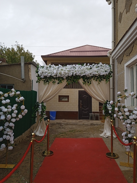 Toy bezaklari skidka