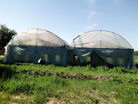 Парник в хорошем состоянии