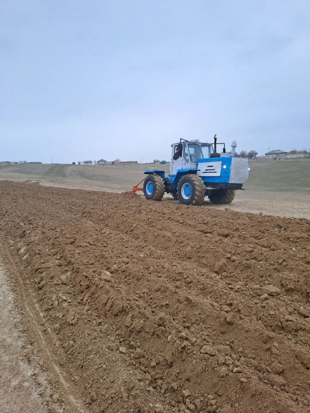 T 150 xolati zur