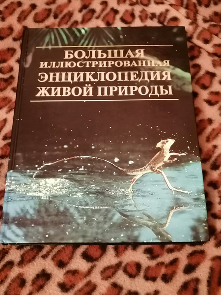 Энциклопедия для детей.