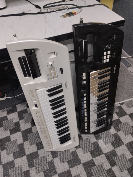 Roland Lucina Ax-9 keytar