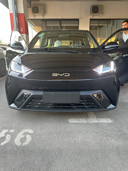 Byd seagull 2025 версия