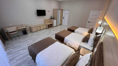 Гостиница Shosh Modern , Hotel Shosh Modern