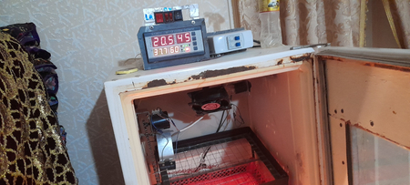 Inkubator & инкубатор