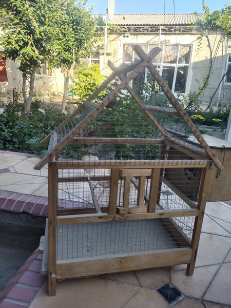 Клетка для птиц, papugaylar katagi