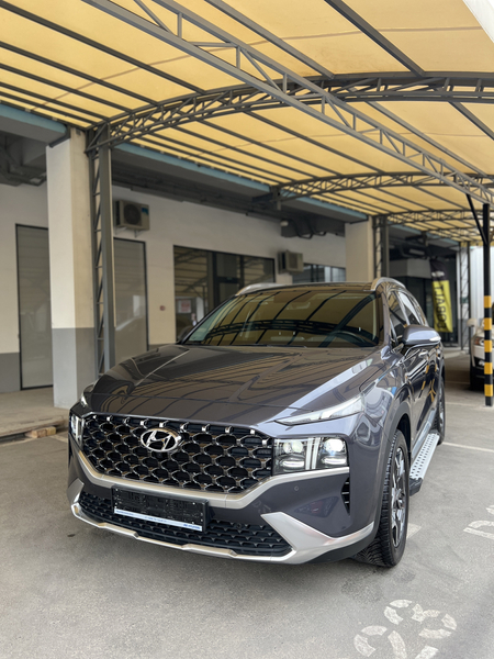 Hyundai santafe full pazitsiya