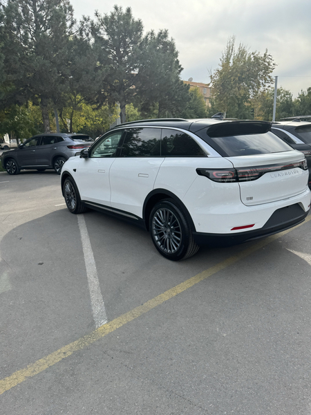 Leapmotor C11 EV elektr Smart 580 km