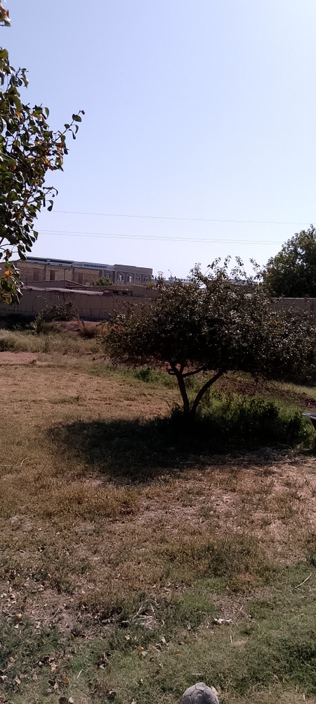 Navoi viloyat karmana tumani argun mfy