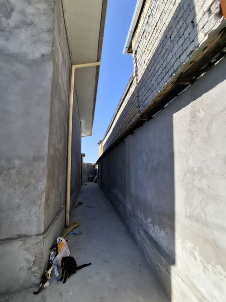 Nazarbek Turkiston 4 sotix