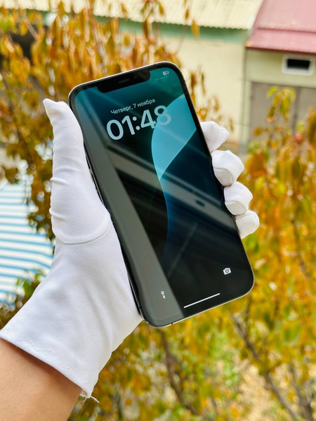 iPhone 12 Pro Max ZA/A Dual 128Gb 100% Obmen Bor