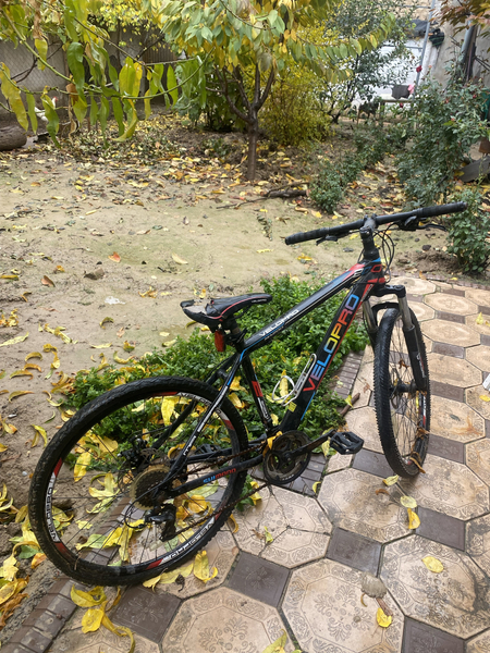 Velosiped Orginal velopro