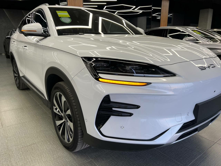 Byd chempion nalicha
