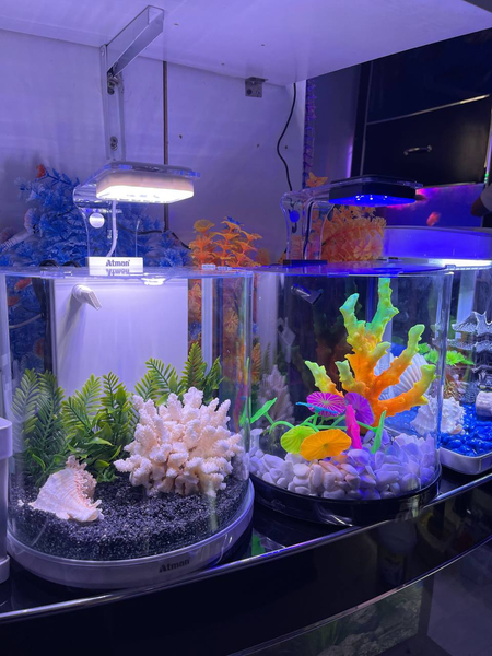 Mini akvarium Atmen 10litrli