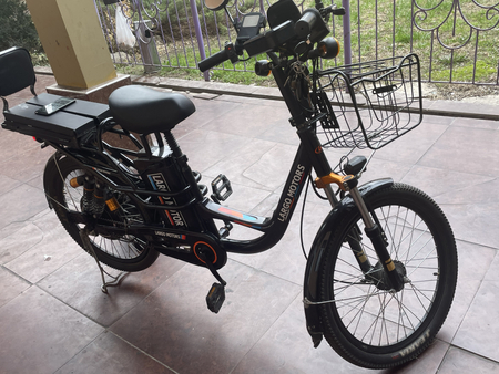 Elektro velosepid
