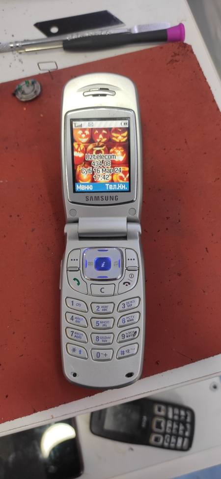 Samsung sgh-s500