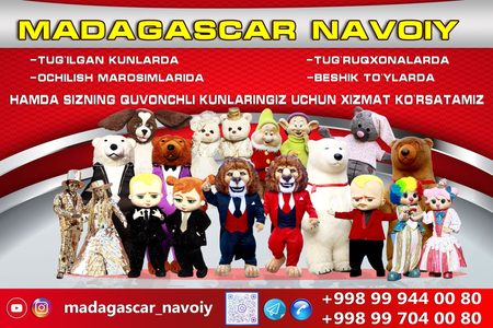 Quvnoq ayiqlar teddy mikkimaus