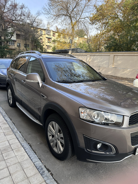 Продается каптива