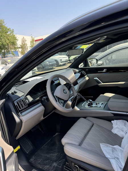 Byd tang 730km 2024
