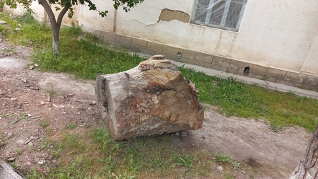 Тунка утин кунда