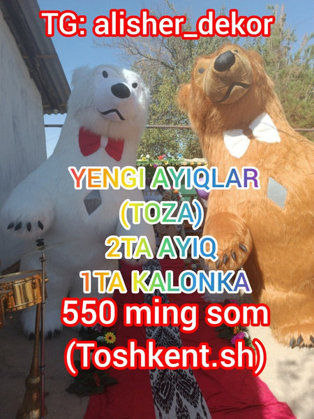 Ayiq ayiqlar teddy oformleniya