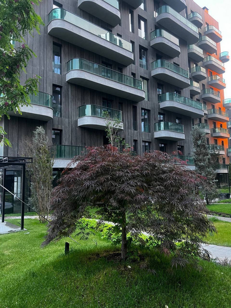 ParkWood