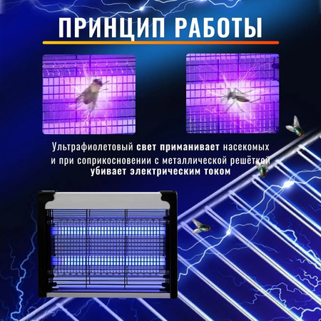 Elektrli Pest Killer chivin, pashsha va turli xil uchadigan xashorotla