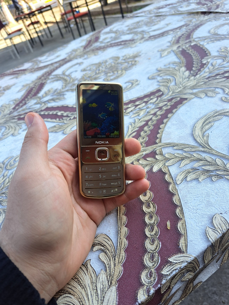 Nokia 6700 gold classic